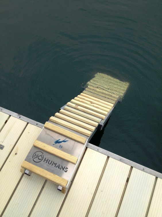 AWESOME Dock Add-ons - Jack Docks